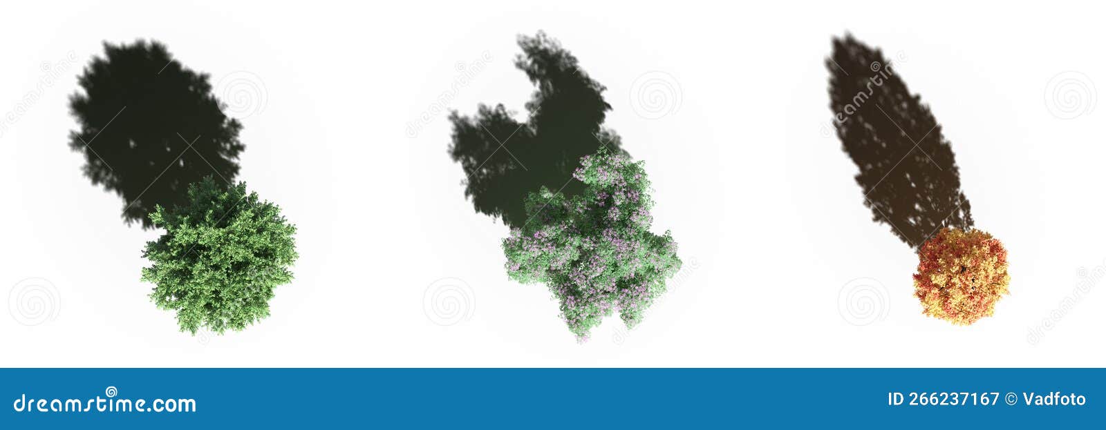 Tree With A Shadow Under It Top View Stock Illustration Illustration