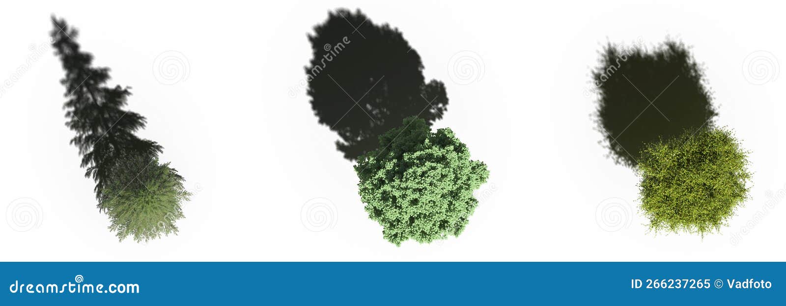 Tree with a Shadow Under it, Top View Stock Illustration - Illustration ...