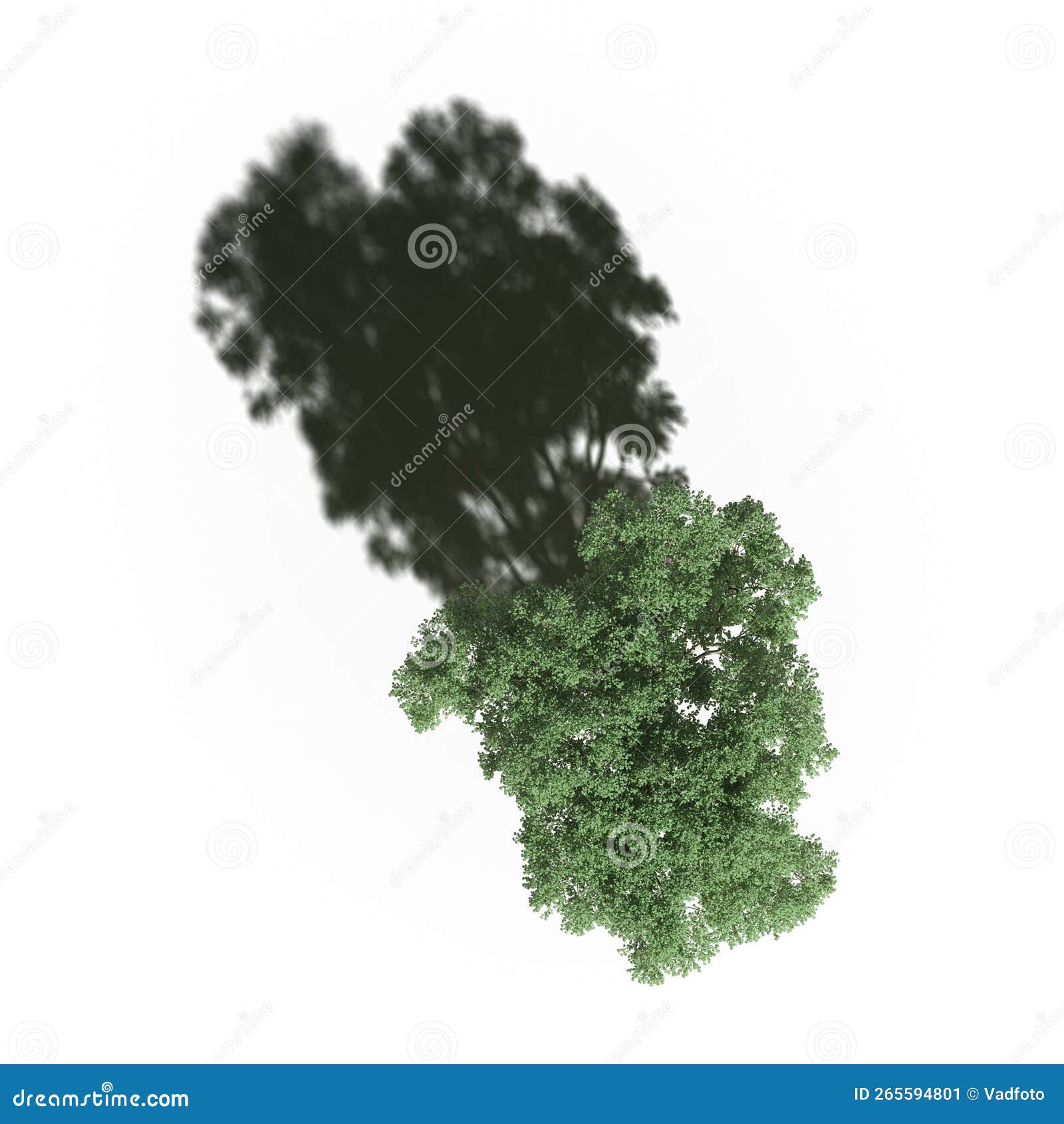 Tree with a Shadow Under it, Top View Stock Illustration - Illustration ...