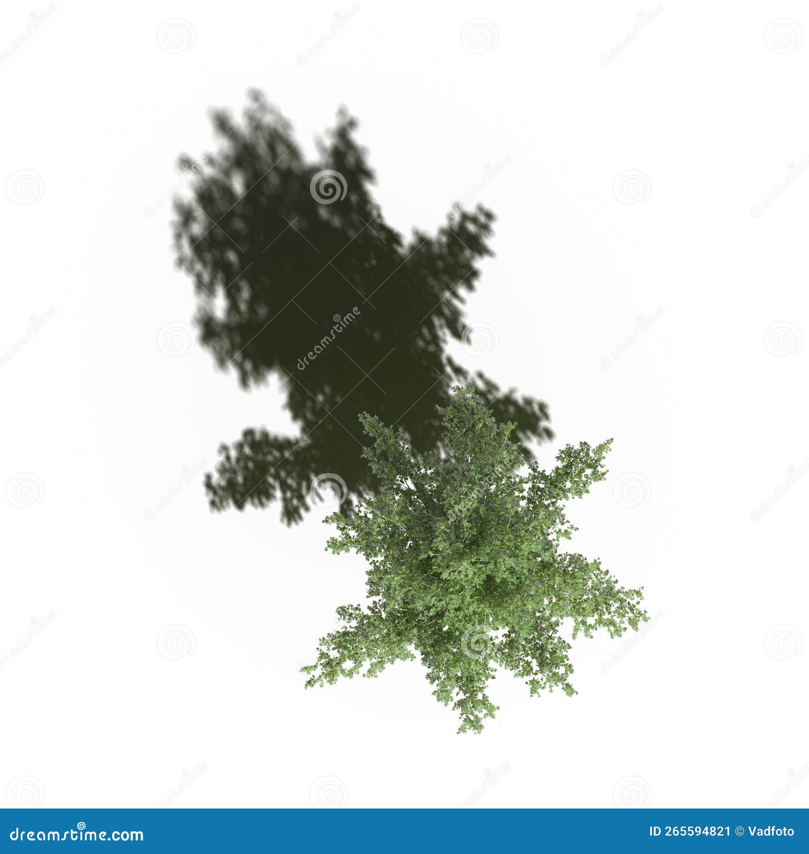 Tree with a Shadow Under it, Top View Stock Illustration - Illustration ...