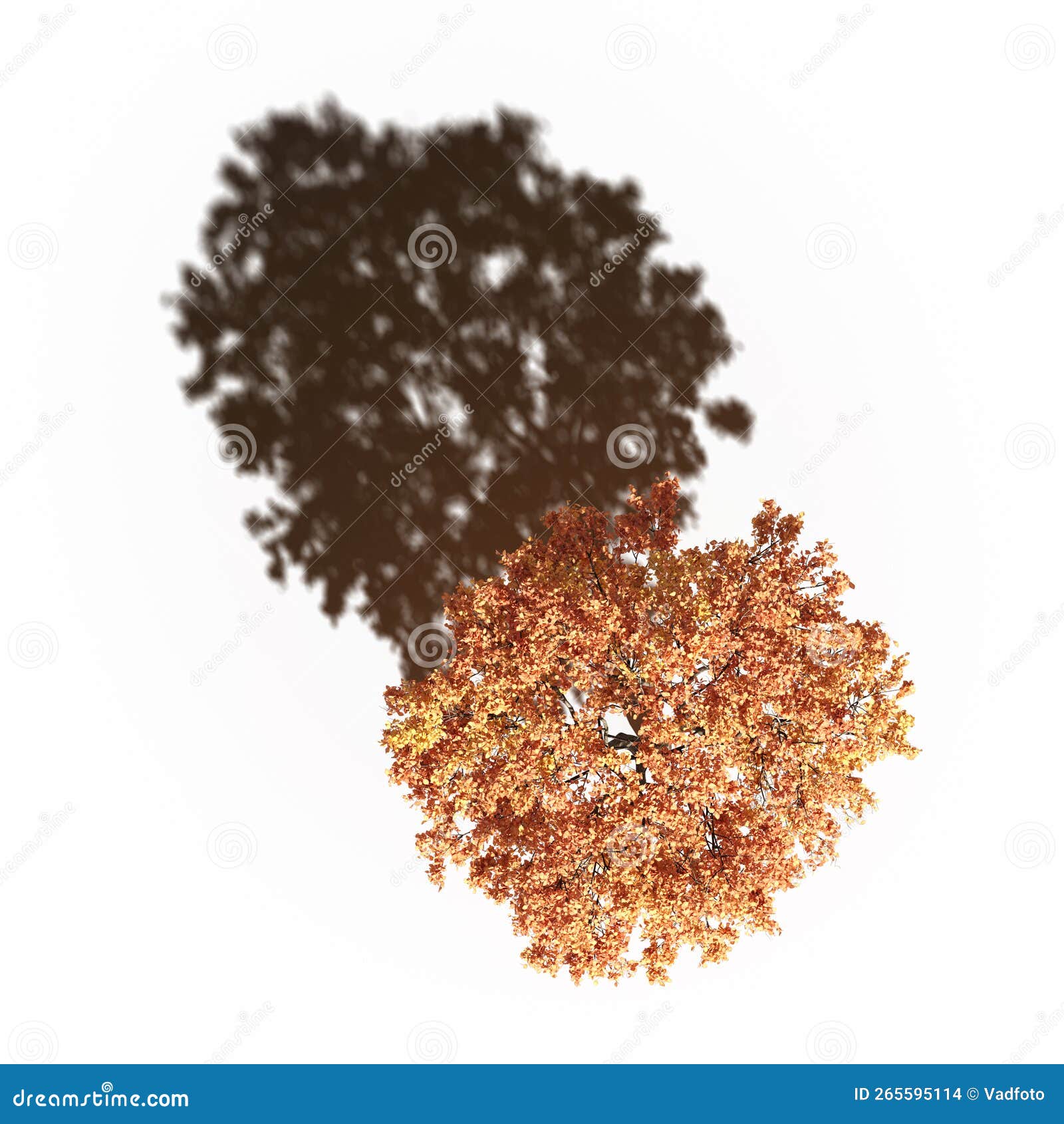 Tree with a Shadow Under it, Top View Stock Illustration - Illustration ...