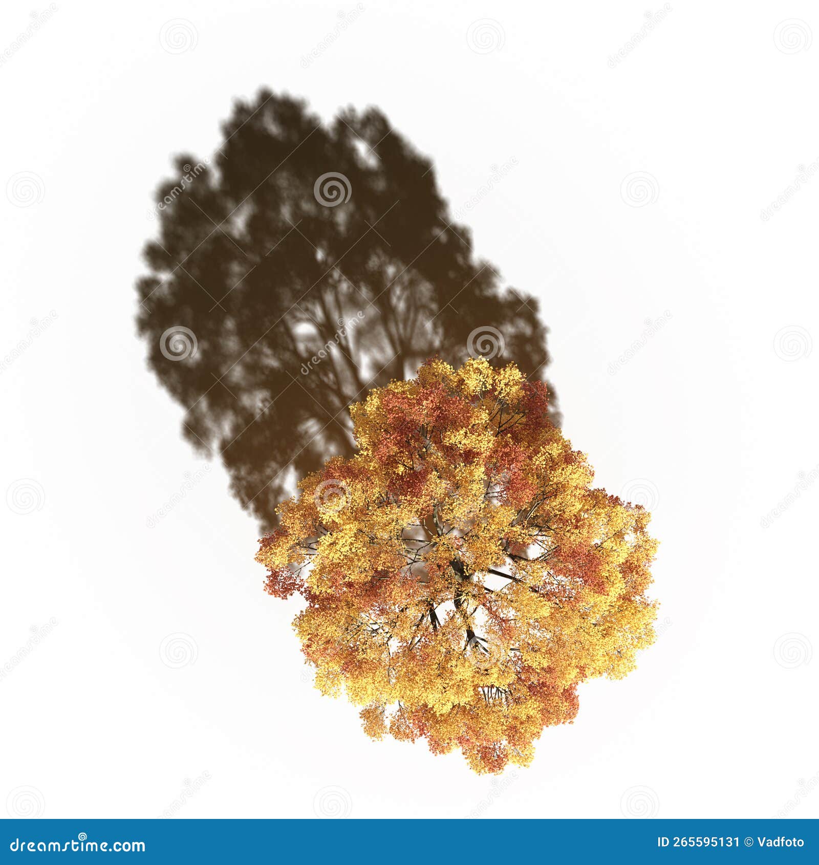 Tree with a Shadow Under it, Top View Stock Illustration - Illustration ...