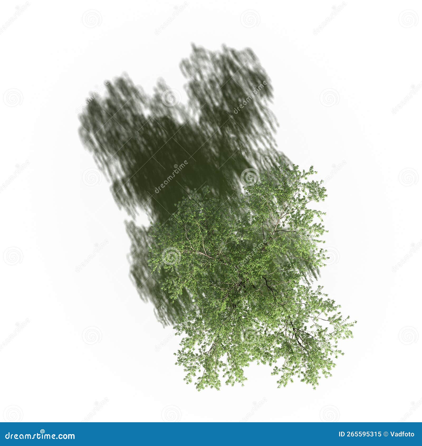 Tree with a Shadow Under it, Top View Stock Illustration - Illustration ...