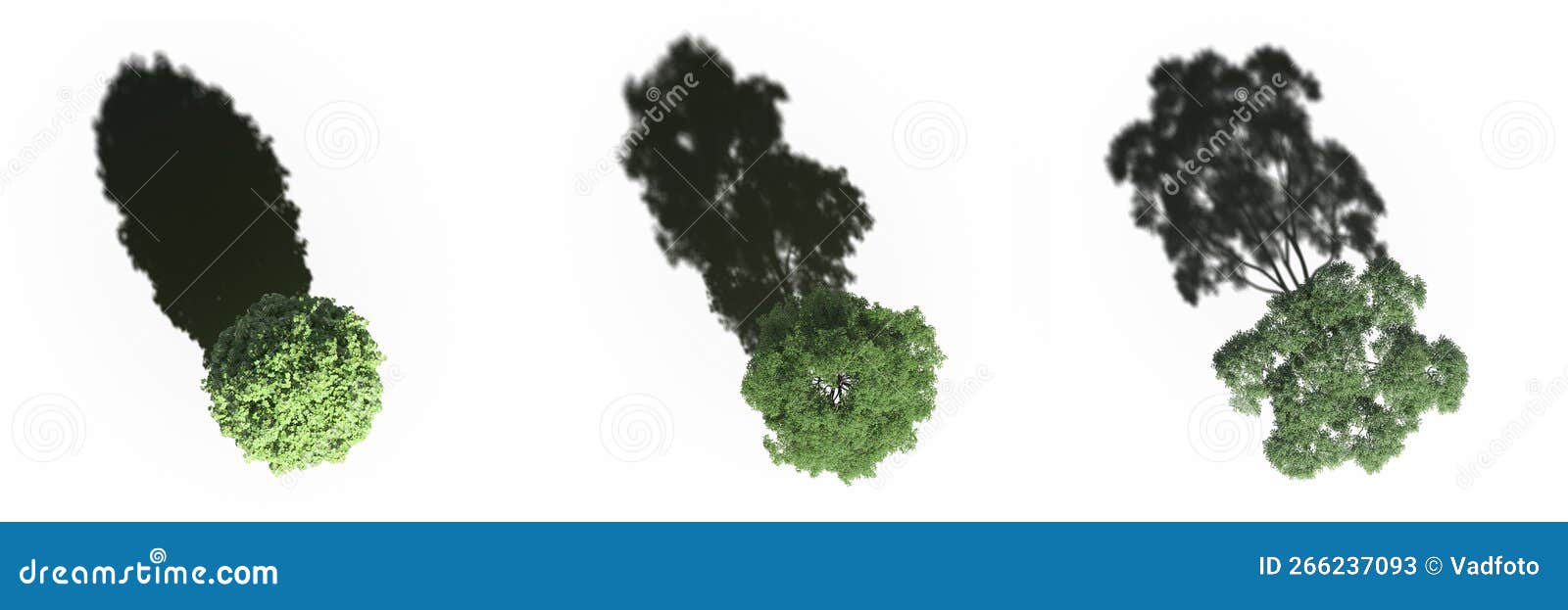 Tree with a Shadow Under it, Top View Stock Illustration - Illustration ...