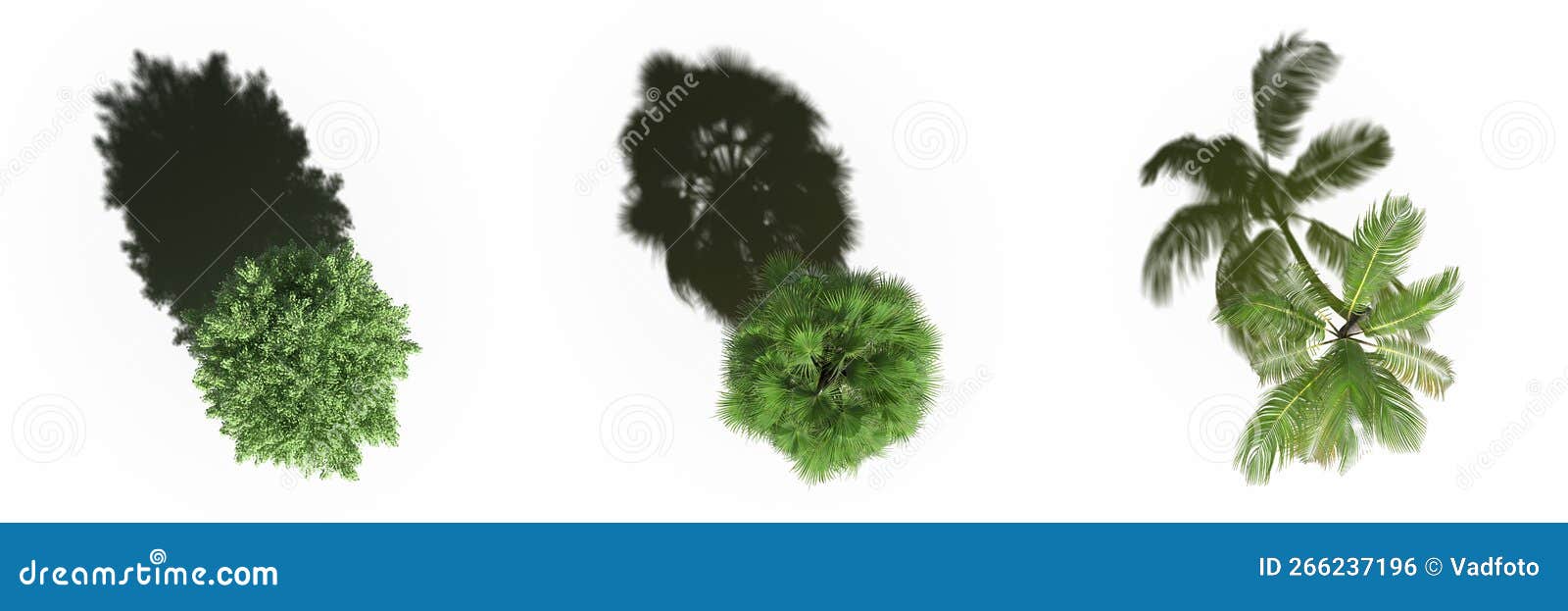 Tree with a Shadow Under it, Top View Stock Illustration - Illustration ...