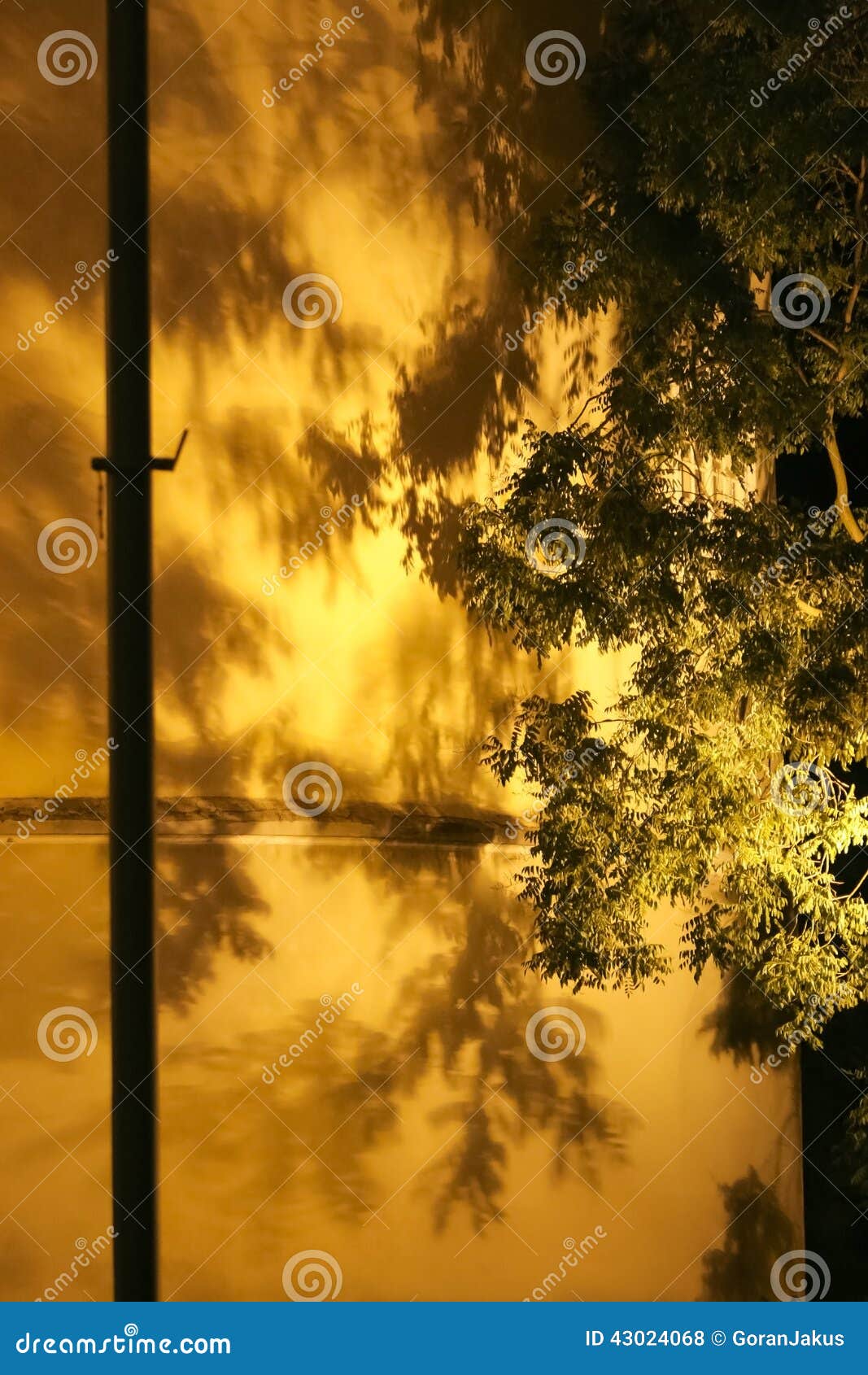 Tree shadow on wall stock photo. Image of wall, facade - 43024068