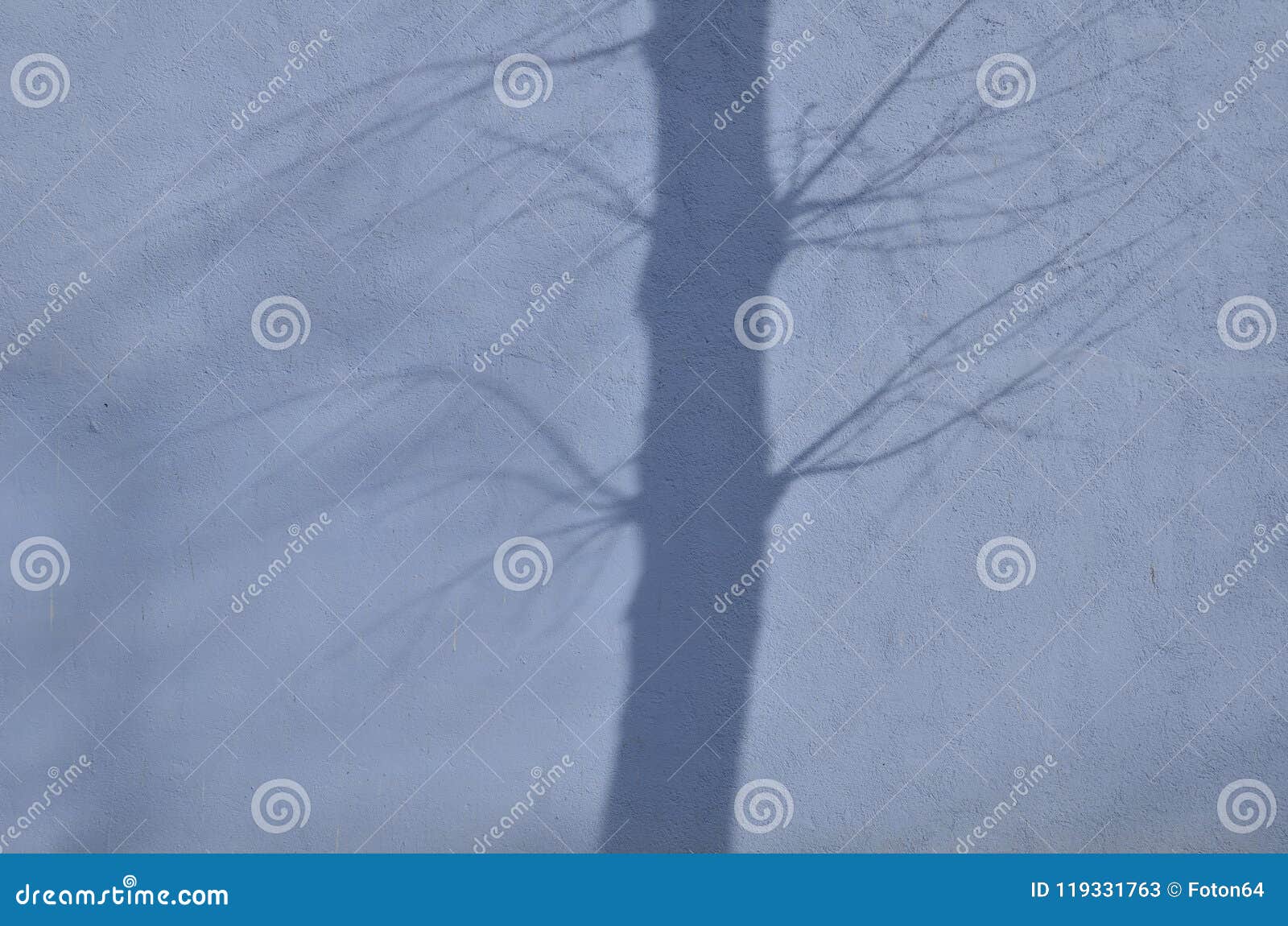 Tree shadow on wall stock image. Image of rough, colored - 119331763