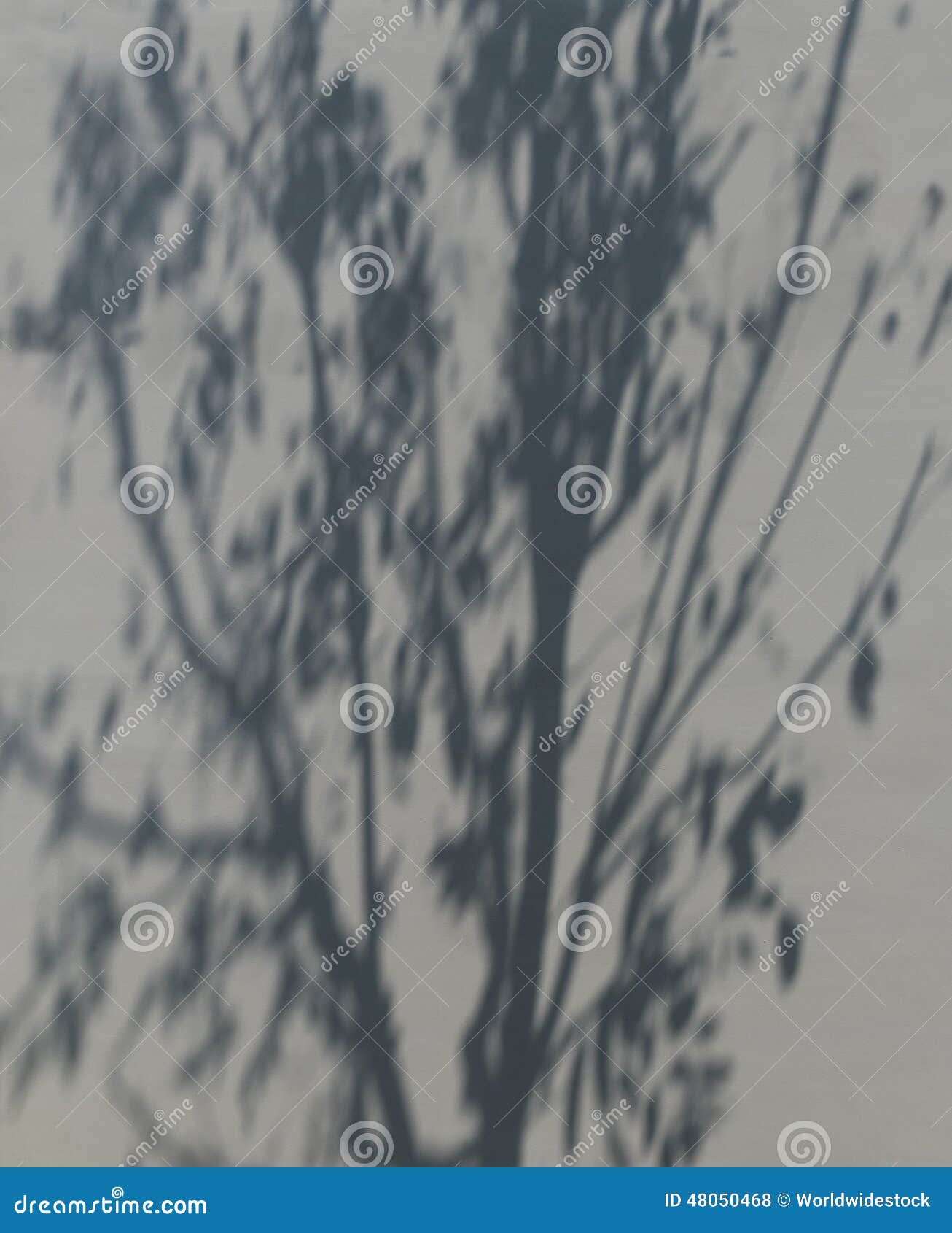 Tree shadow on the wall stock photo. Image of vertical - 48050468