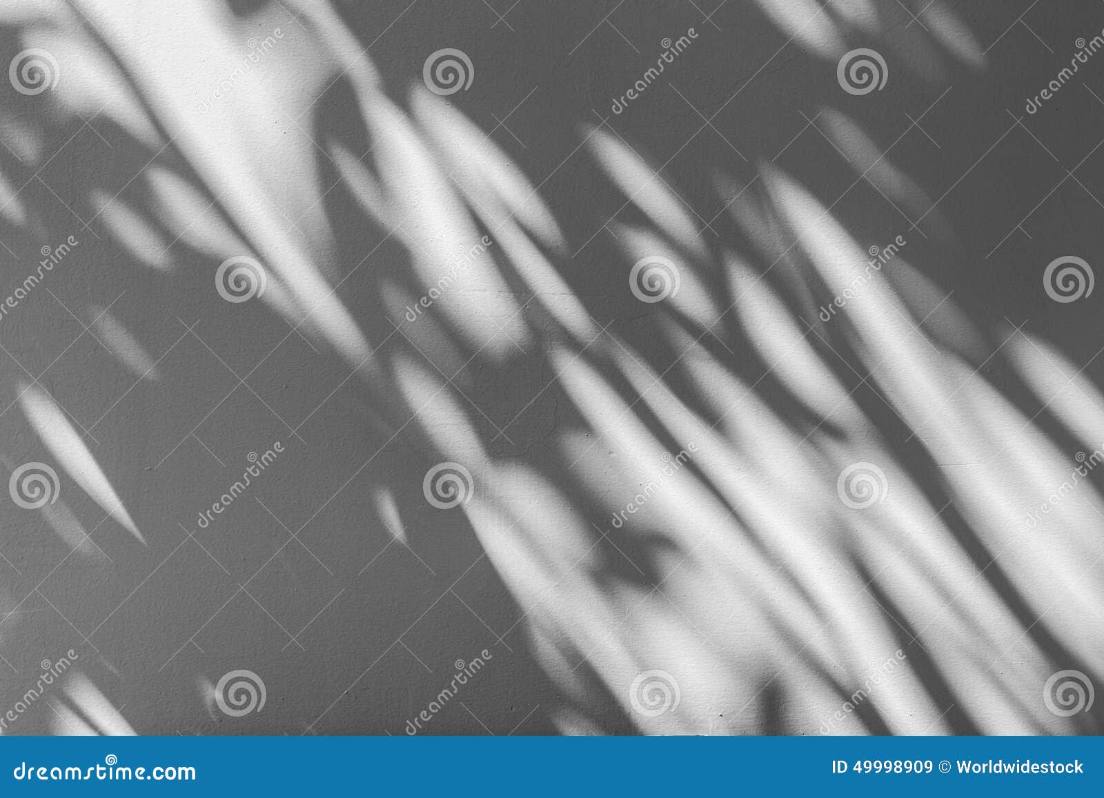Tree shadow on the wall stock image. Image of sunshine - 49998909