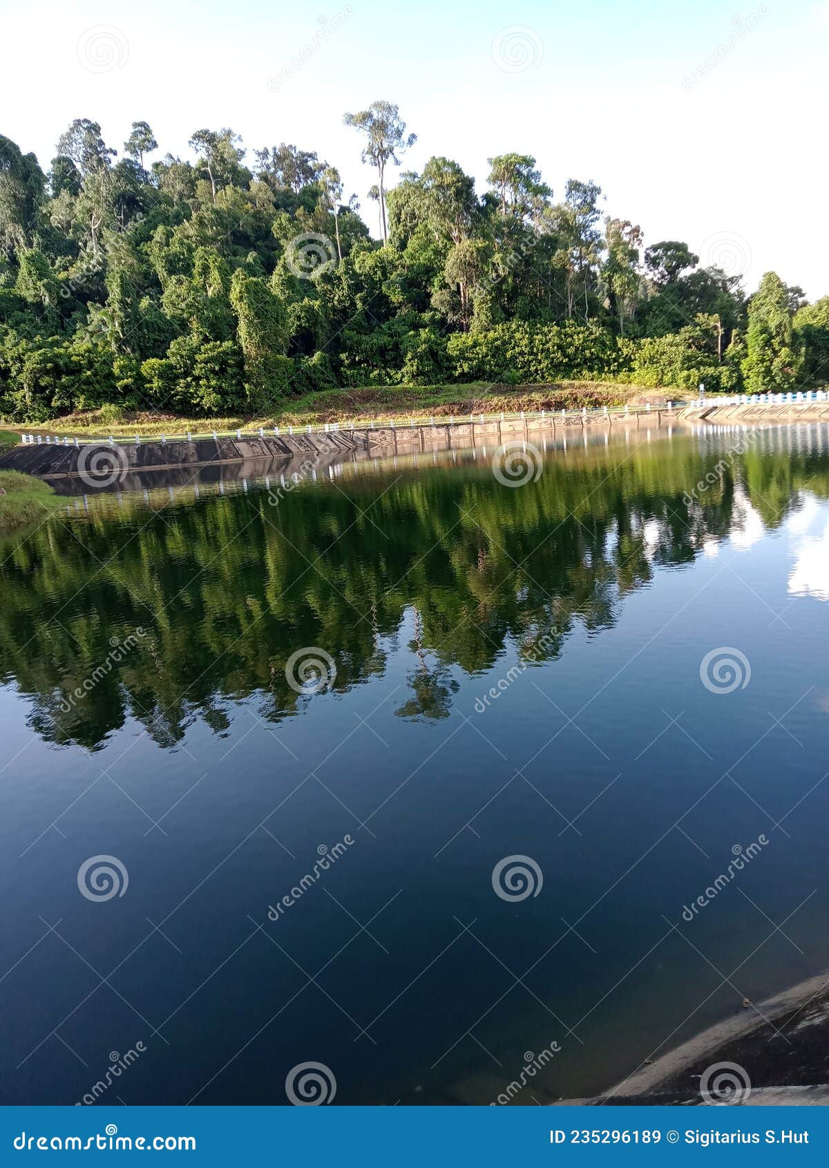 Tree Shadow in Water Padu Empat Stock Image - Image of tree, nature ...