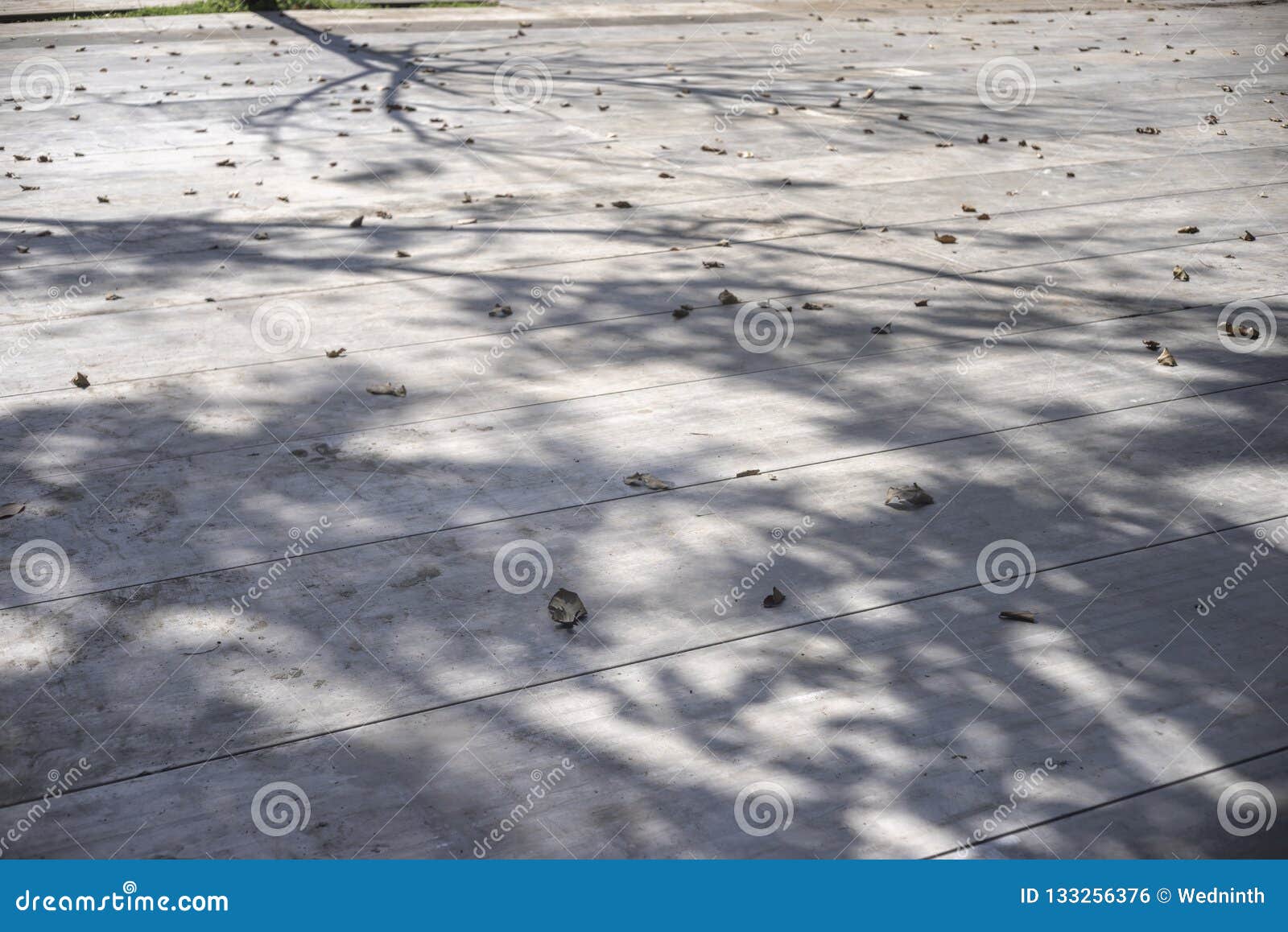 Tree Shadow on the White Concrete Background Stock Photo - Image of ...