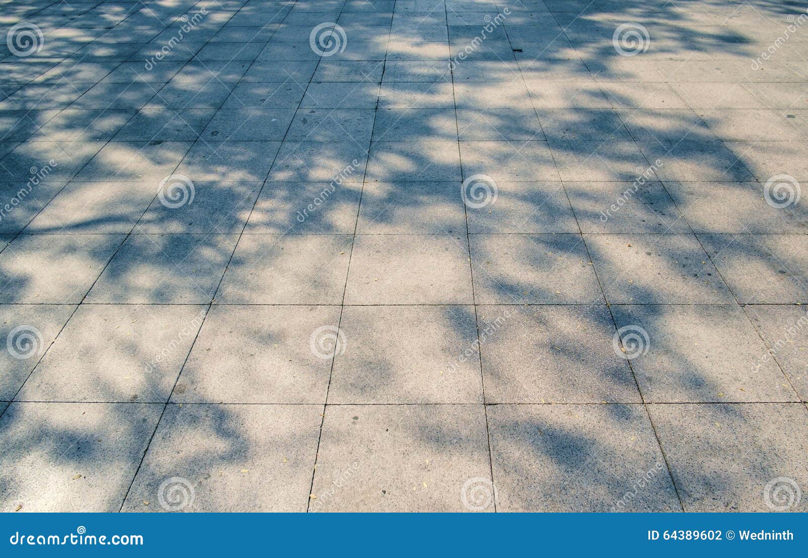 Tree Shadow on the White Concrete Stock Photo - Image of tree, concrete ...