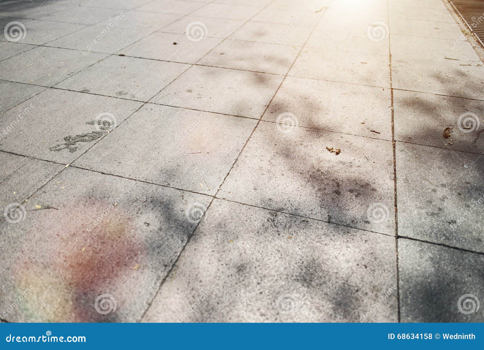 Tree Shadow on the White Concrete Stock Photo - Image of whitewashed ...