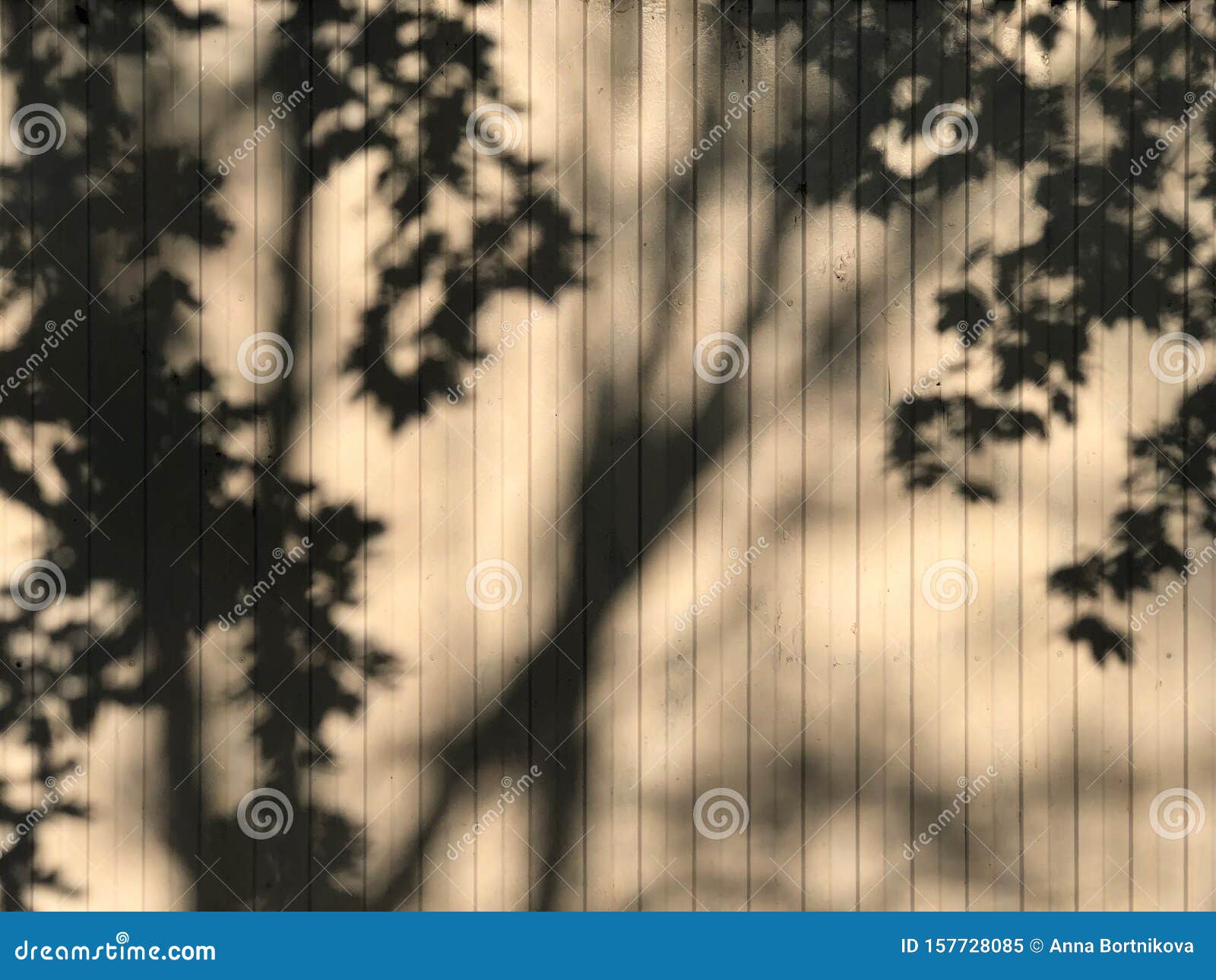Tree Shadow on the White Wall Pattern Stock Image - Image of sunny ...