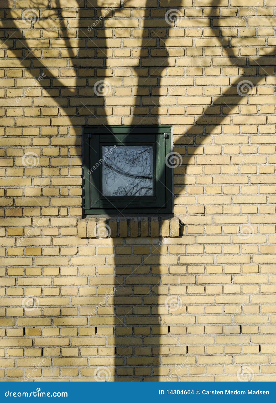 Tree shadow on window stock photo. Image of yellow, facade - 14304664