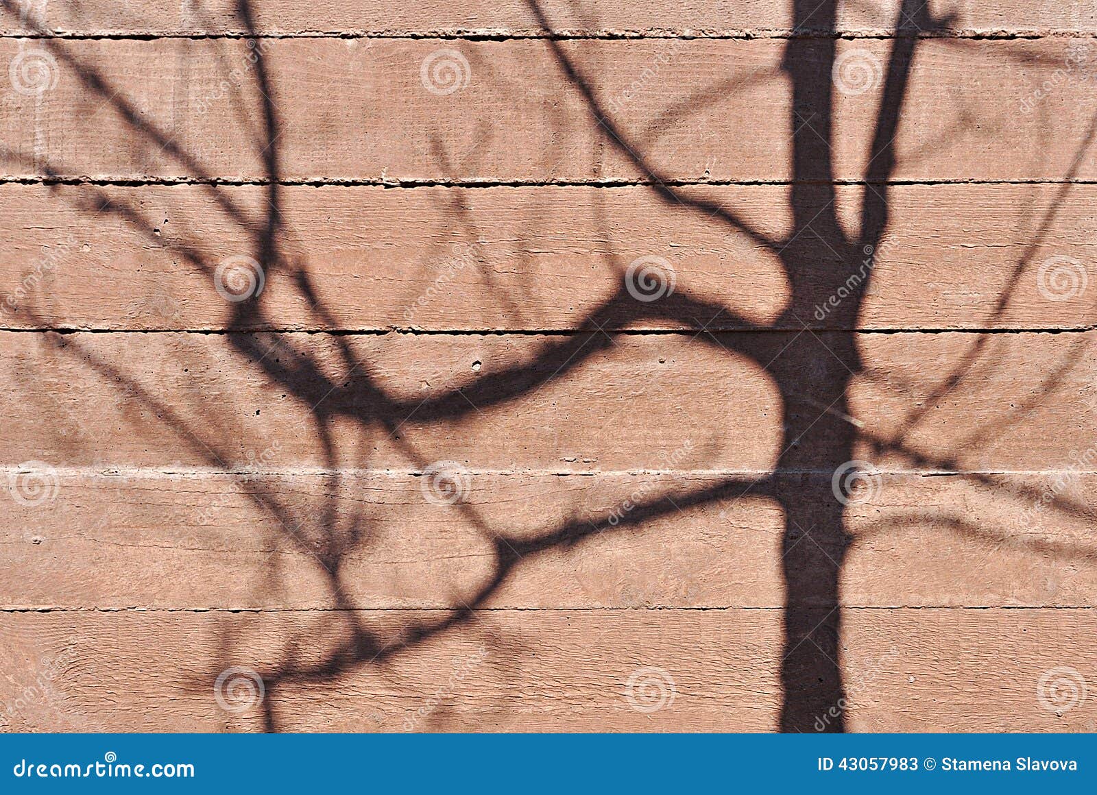 Tree shadow stock image. Image of shadow, sunshine, vegetation - 43057983