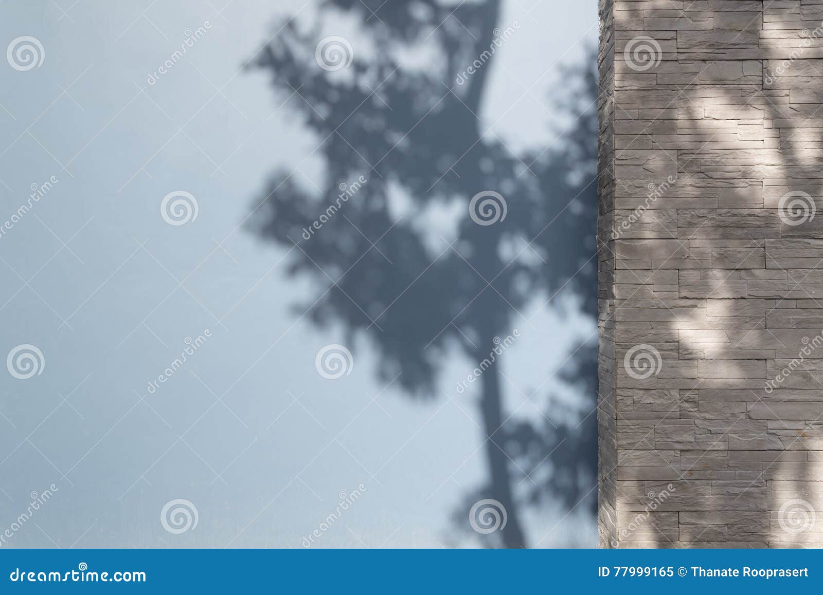 Tree Shadows background. stock image. Image of grey, shadow - 77999165