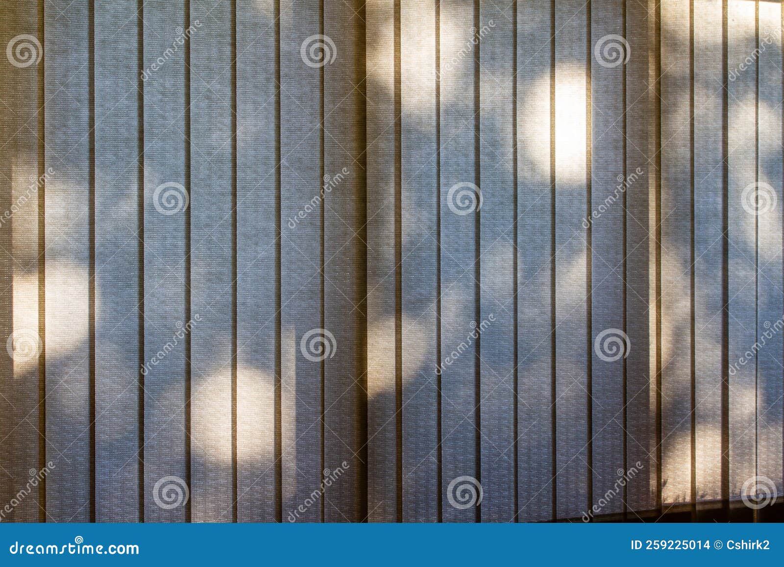 Tree Shadows with Bokeh Cast Onto Window Blinds Stock Photo - Image of ...