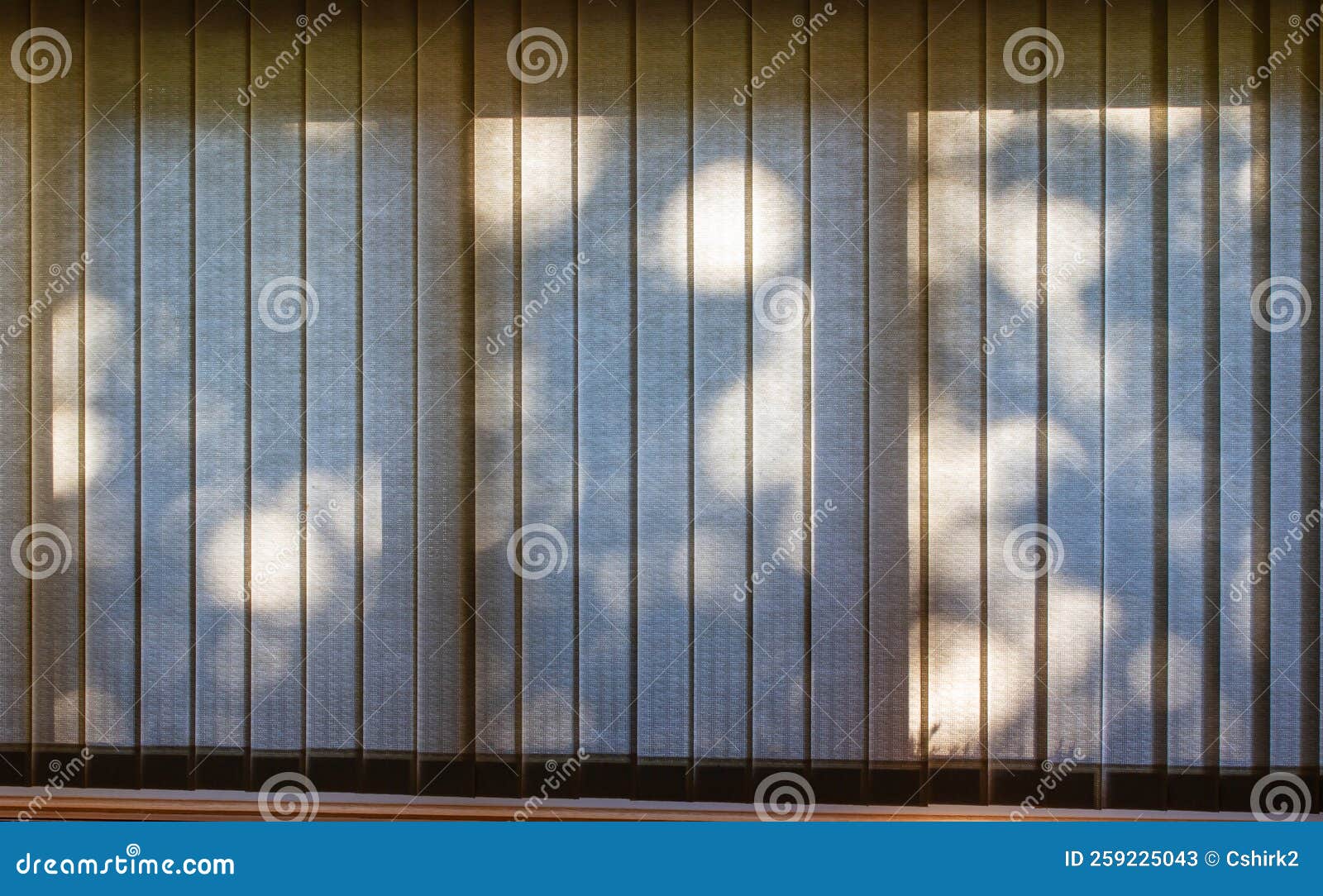 Tree Shadows with Bokeh Cast Onto Window Blinds Stock Image - Image of ...