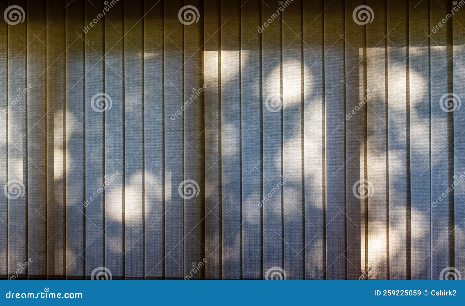 Tree Shadows with Bokeh Cast Onto Window Blinds Stock Image - Image of ...