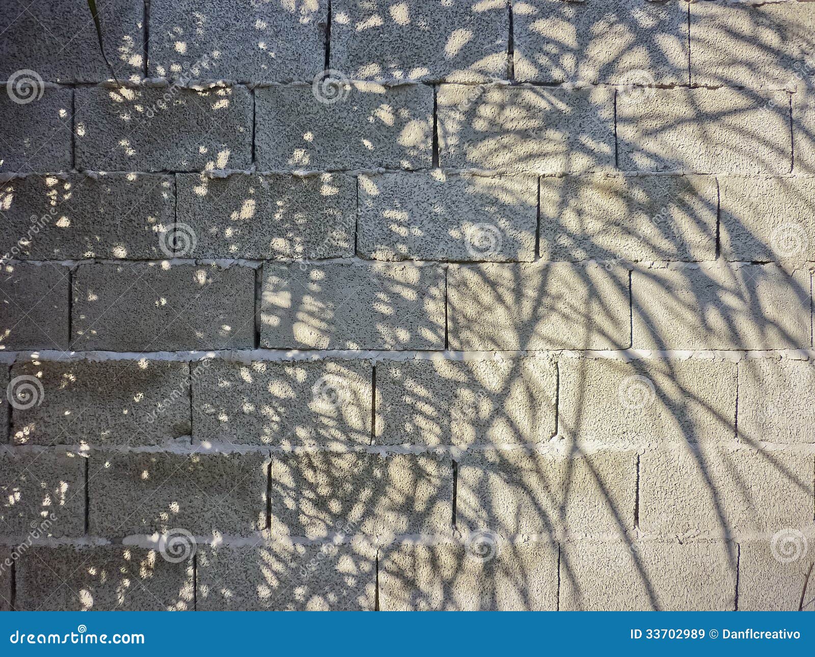 Tree Shadows in Concrete Wall Stock Image - Image of brick, rustic ...
