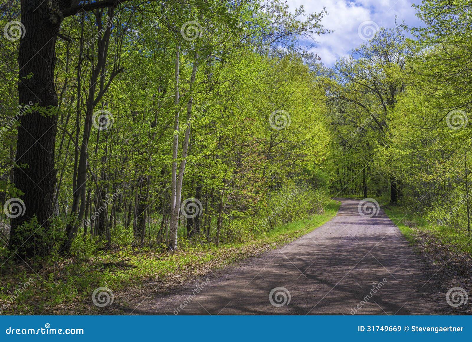 Tree Shadows, Country Road, Spring Stock Image - Image of landscape ...