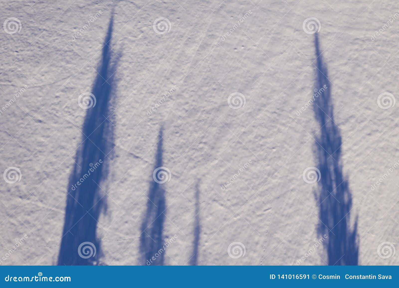 Tree shadows on field snow stock image. Image of drone - 141016591