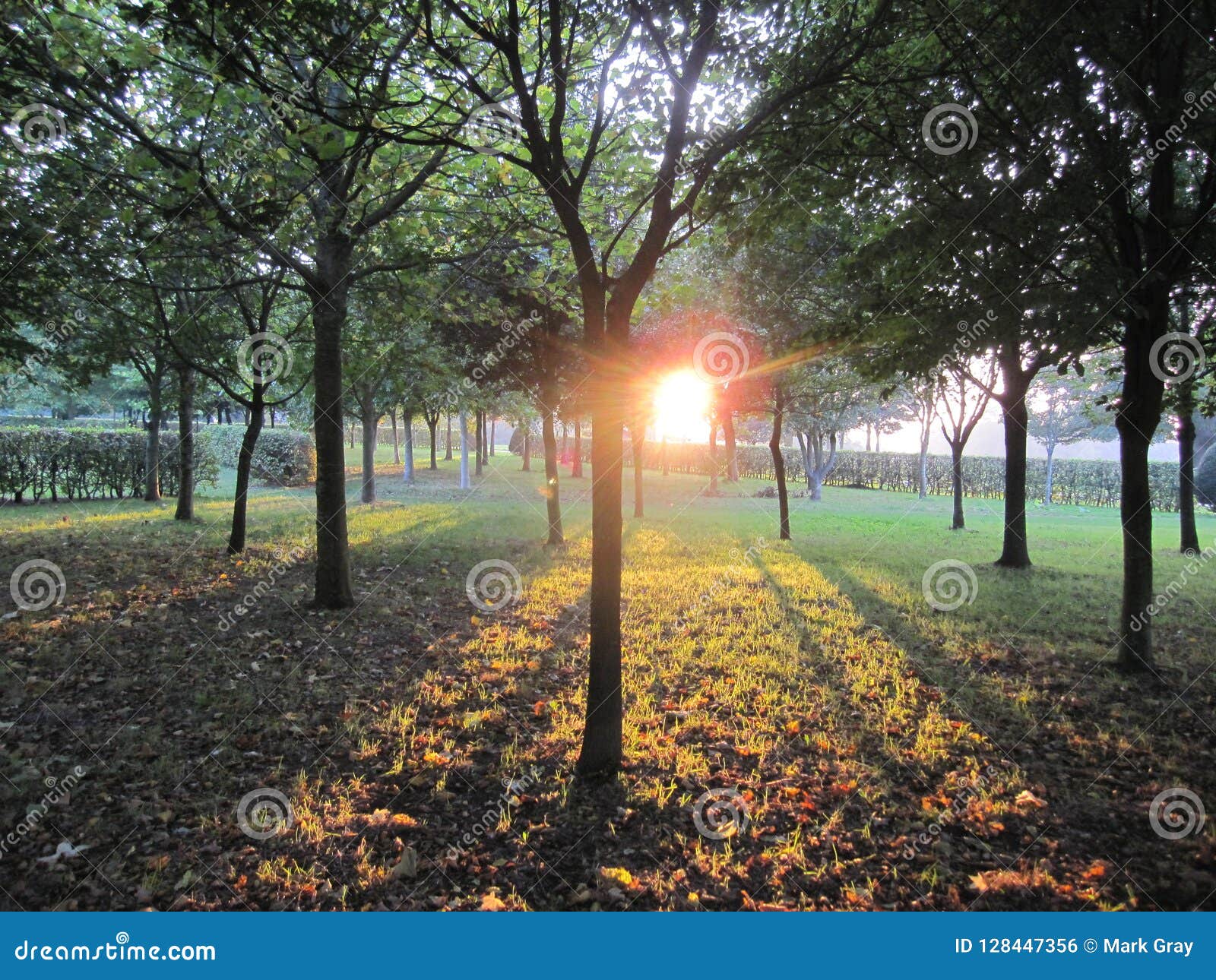 Shadows at Sunset stock photo. Image of shadows, sunset - 128447356