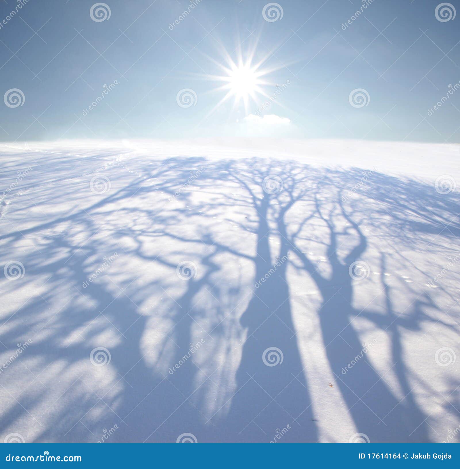 Tree shadws stock photo. Image of shadow, blue, covering - 17614164