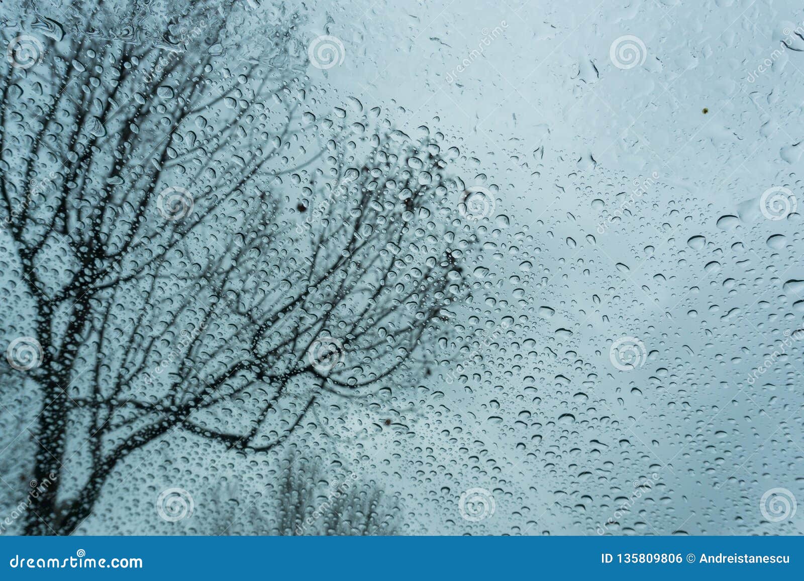 Tree Shape As Seen through the Raindrops on the Windshield; Selective ...