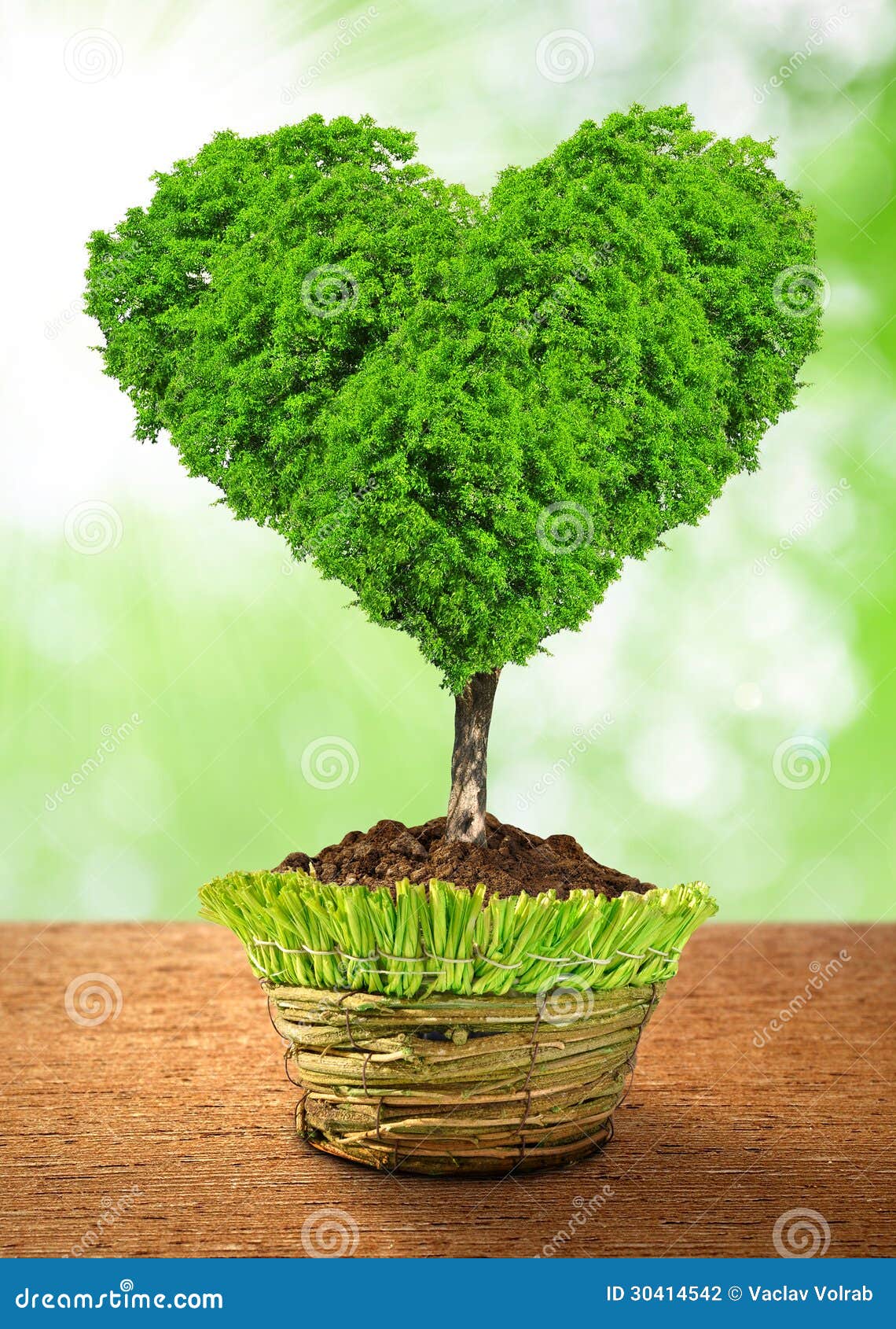 Tree in the shape heart stock photo. Image of natural - 30414542