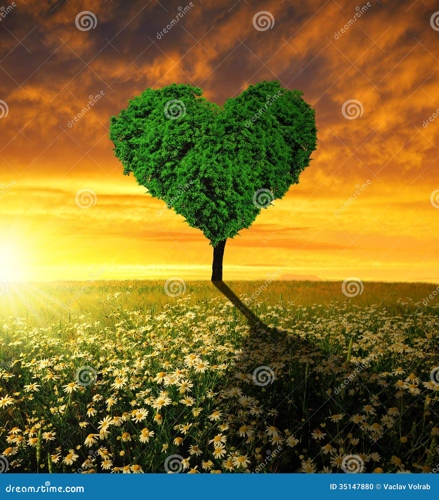 Tree in the shape of heart stock photo. Image of clouds - 35147880