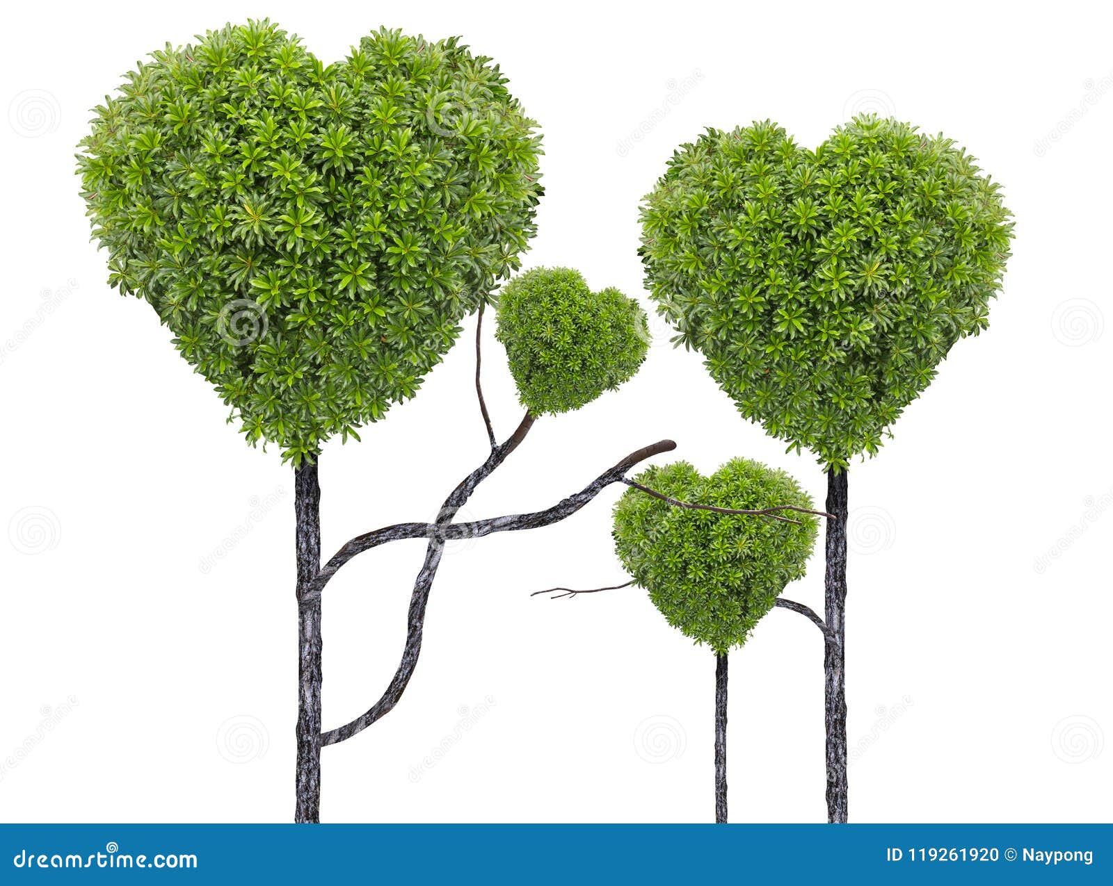 Tree in the shape of heart stock photo. Image of outdoor - 119261920