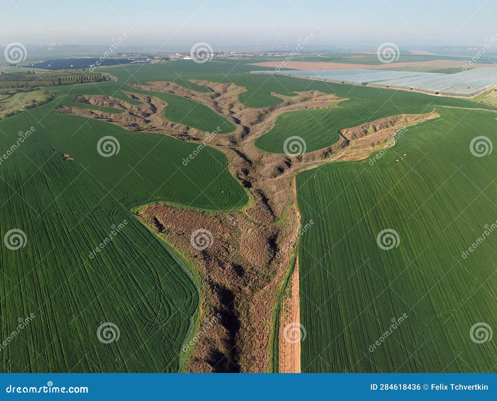 Tree Shape Ravine between Green Agricultural Field Stock Photo - Image ...