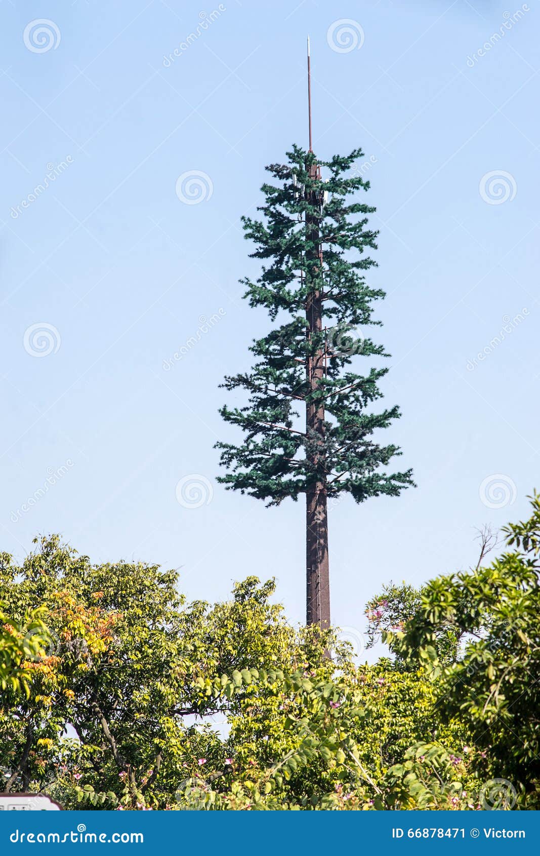 Tree shape signal tower stock image. Image of industrial - 66878471