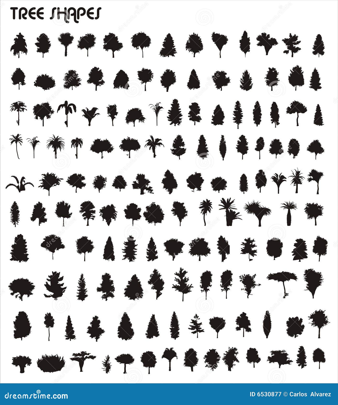 Tree shapes stock illustration. Illustration of tree, live - 6530877