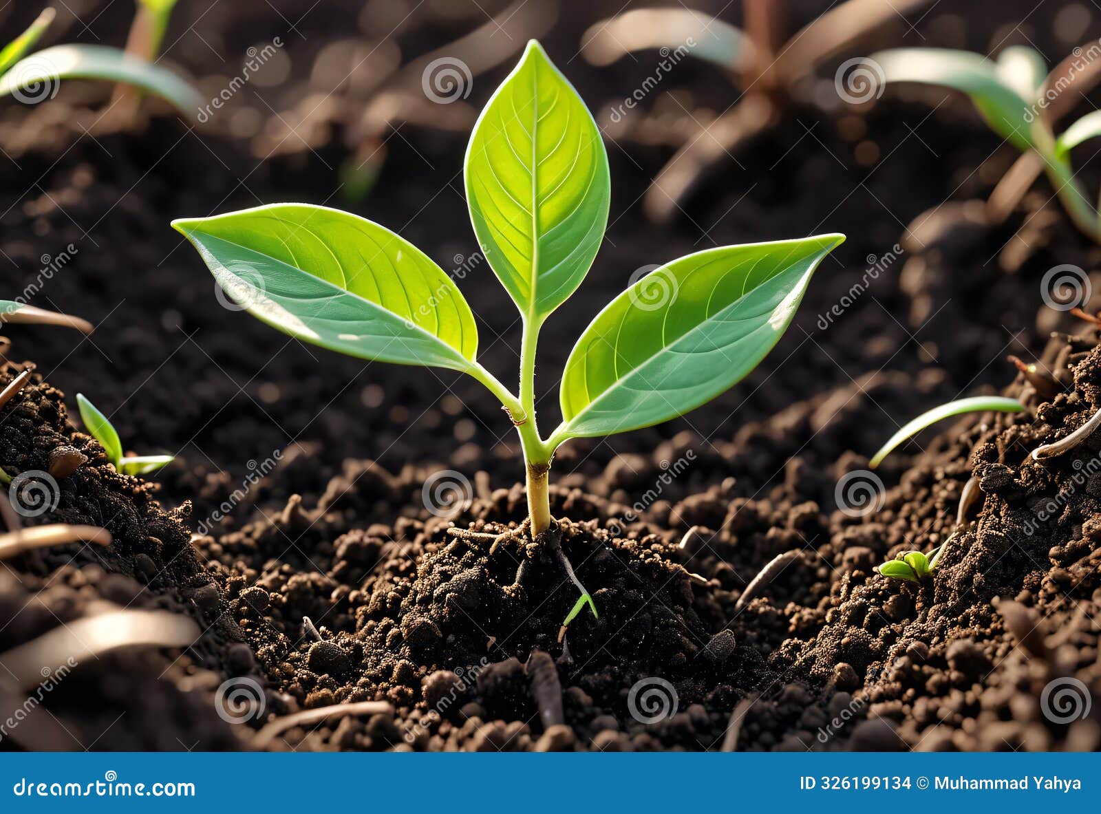 Tree, Protect, Recycle, Green Gold Icon. Vector Illustration Of Golden ...