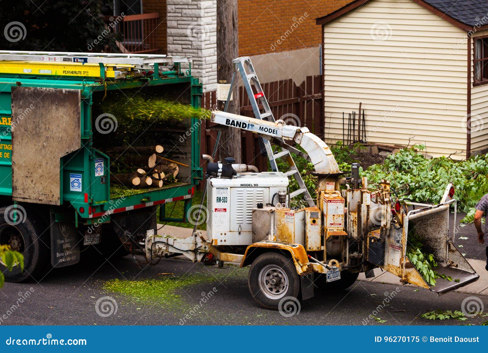 Tree Shredder Machine in Action and Workers Pushing Branches Int ...