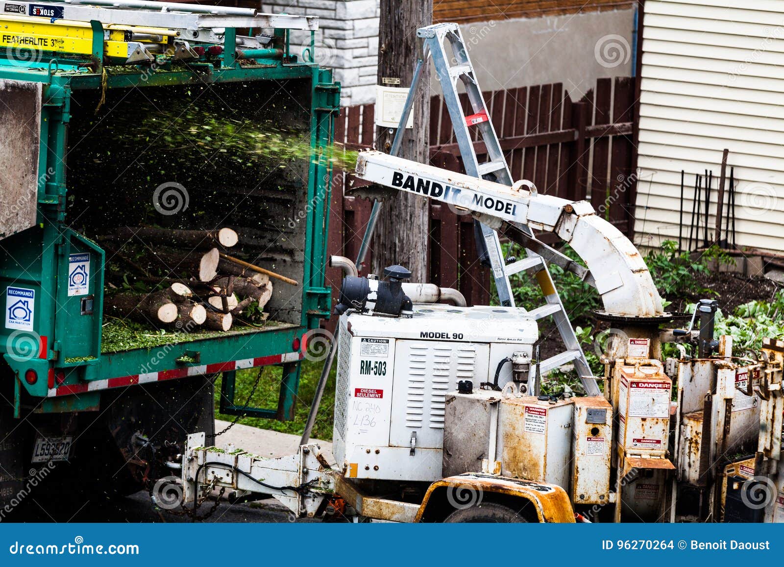 Tree Shredder Machine in Action and Workers Pushing Branches Int ...