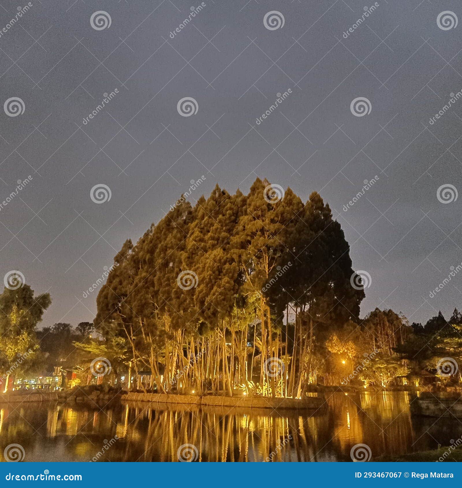 Tree Shyning at Night Glow in the Dark World Stock Image - Image of ...