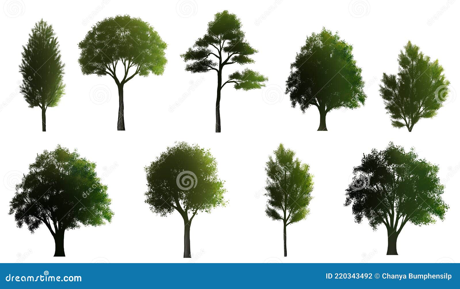 Tree Side View Isolated on White Background Stock Photo - Image of ...