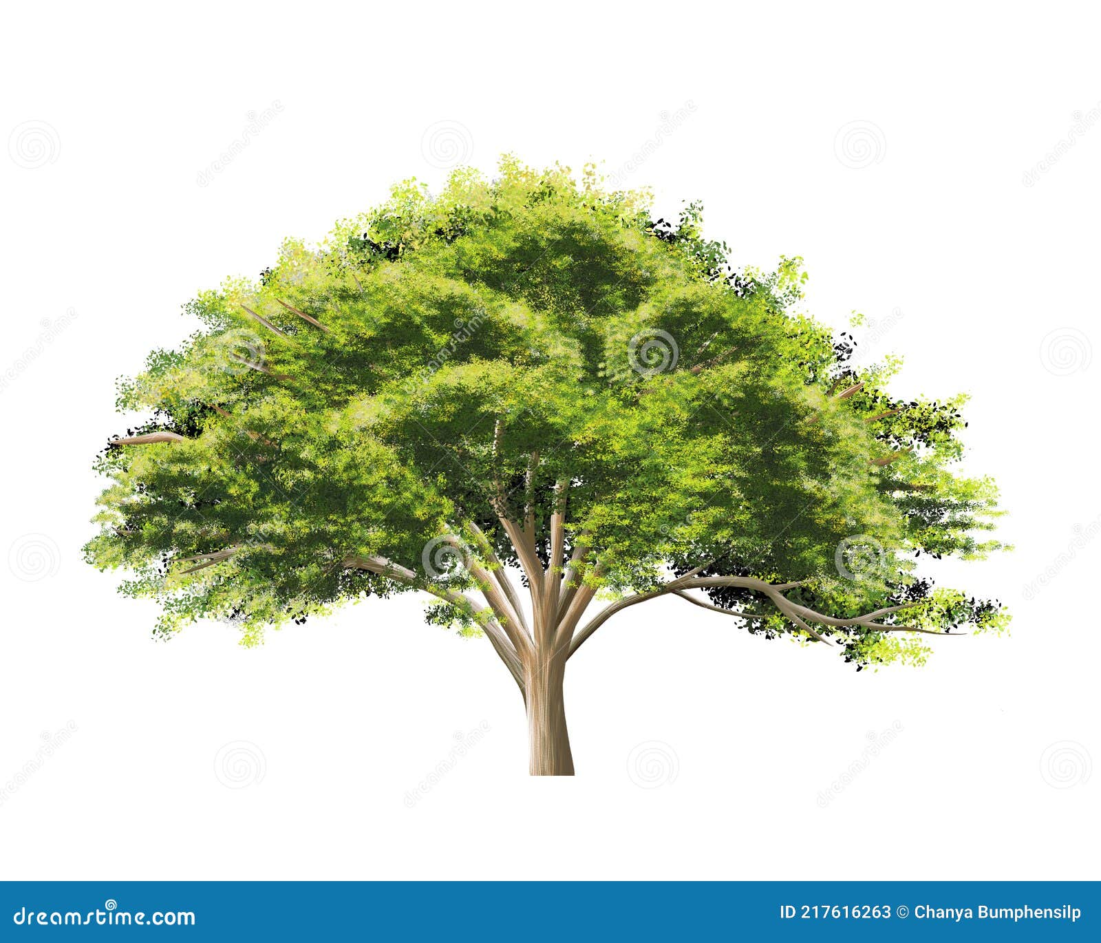 Green Tree side view stock image. Image of landscape - 217616263