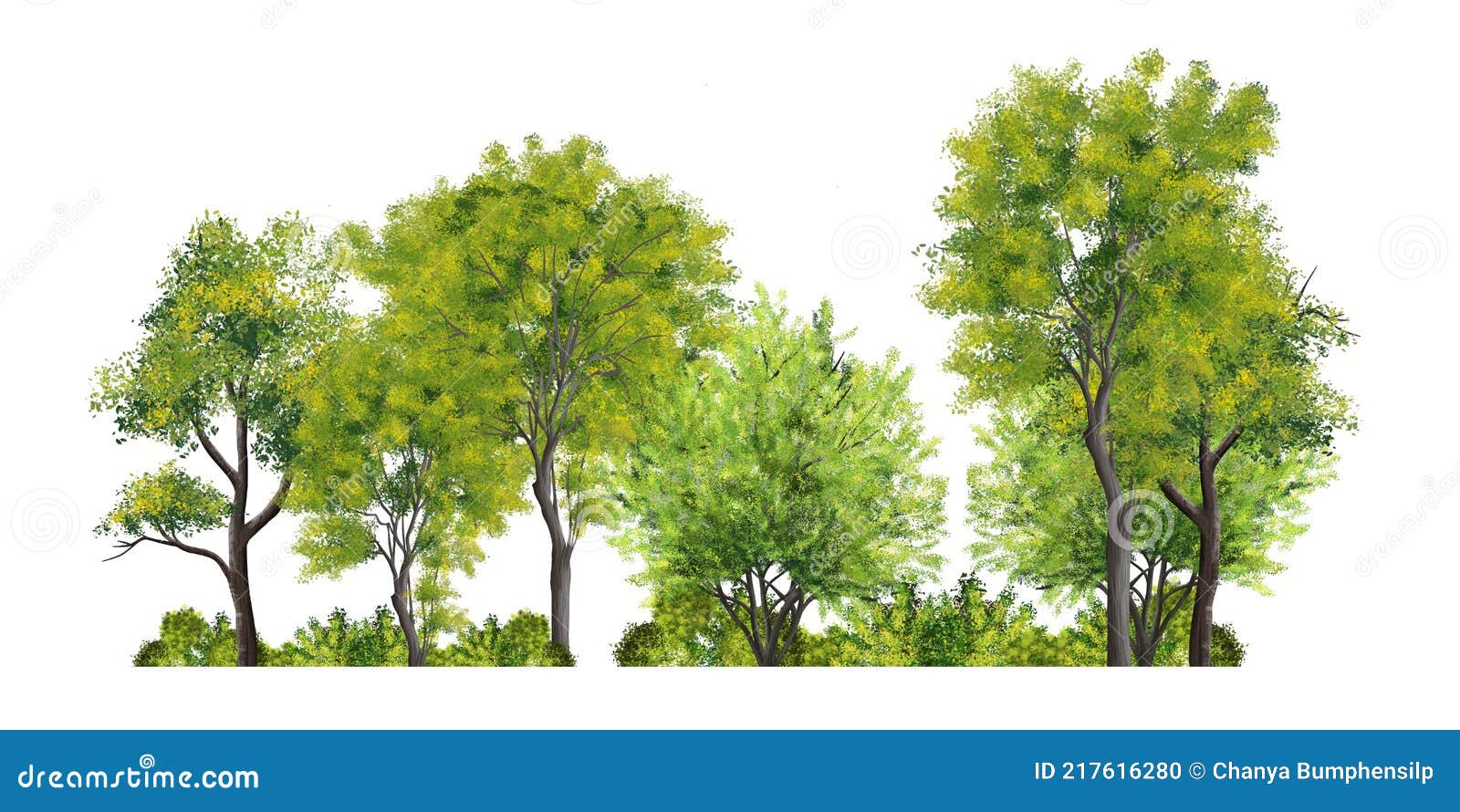 Green Tree side view stock photo. Image of layout, abstract - 217616280