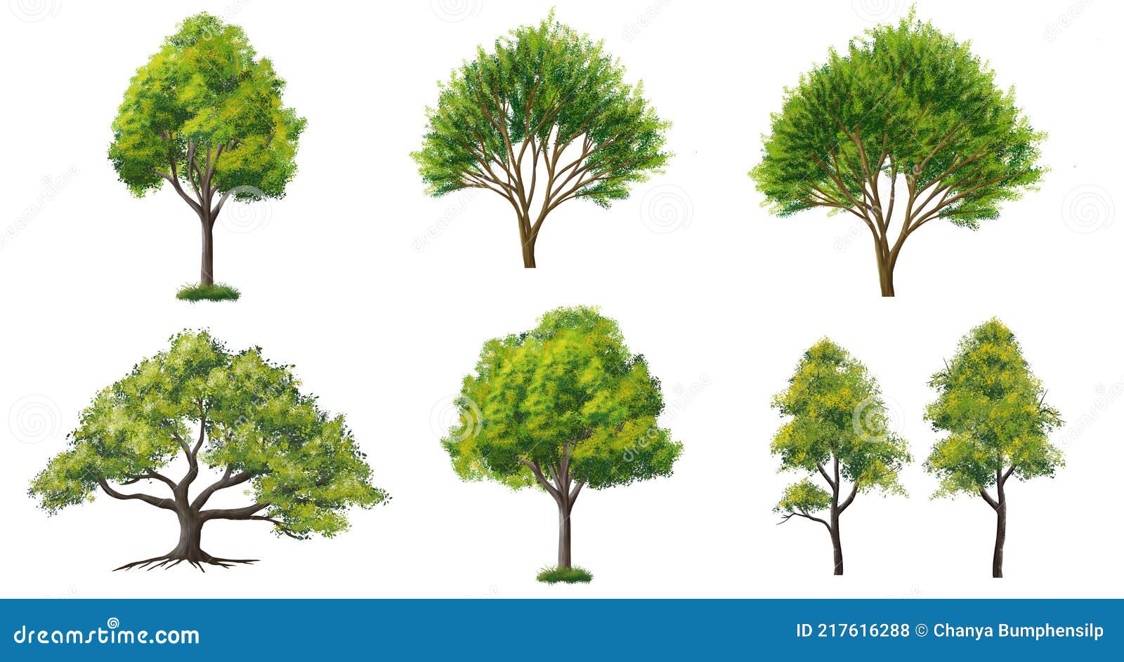 Green Tree side view stock photo. Image of isolated - 217616288