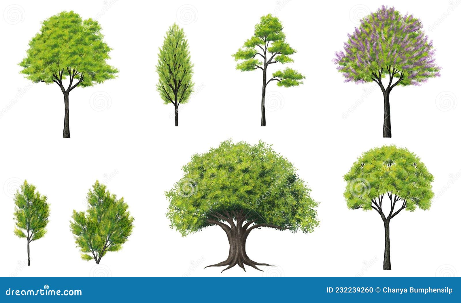 Tree Side View Isolated on White Background Stock Illustration ...