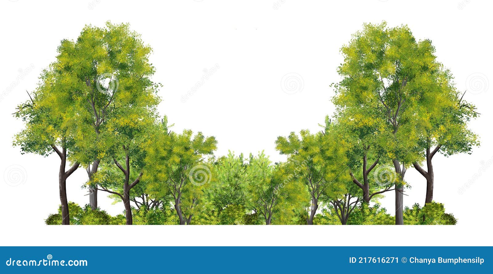 Green Tree side view stock image. Image of side, layout - 217616271