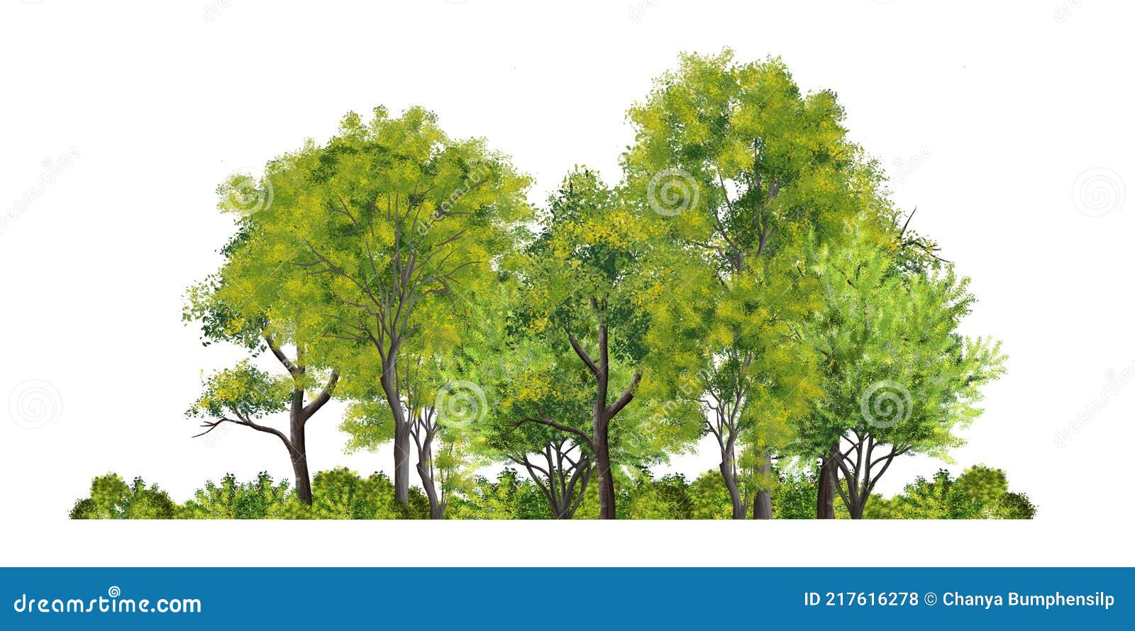 Green Tree side view stock photo. Image of watercolor - 217616278