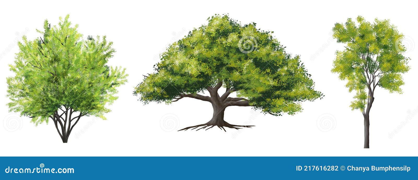 Green Tree side view stock photo. Image of collection - 217616282