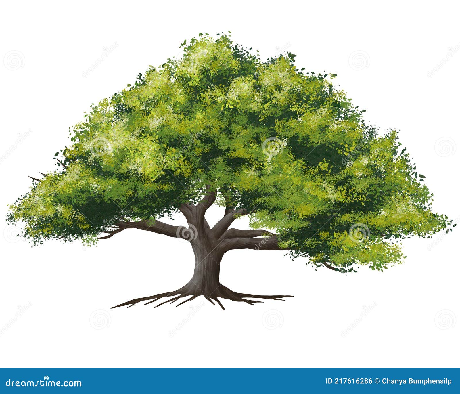 Green Tree side view stock photo. Image of forest, vegetables - 217616286