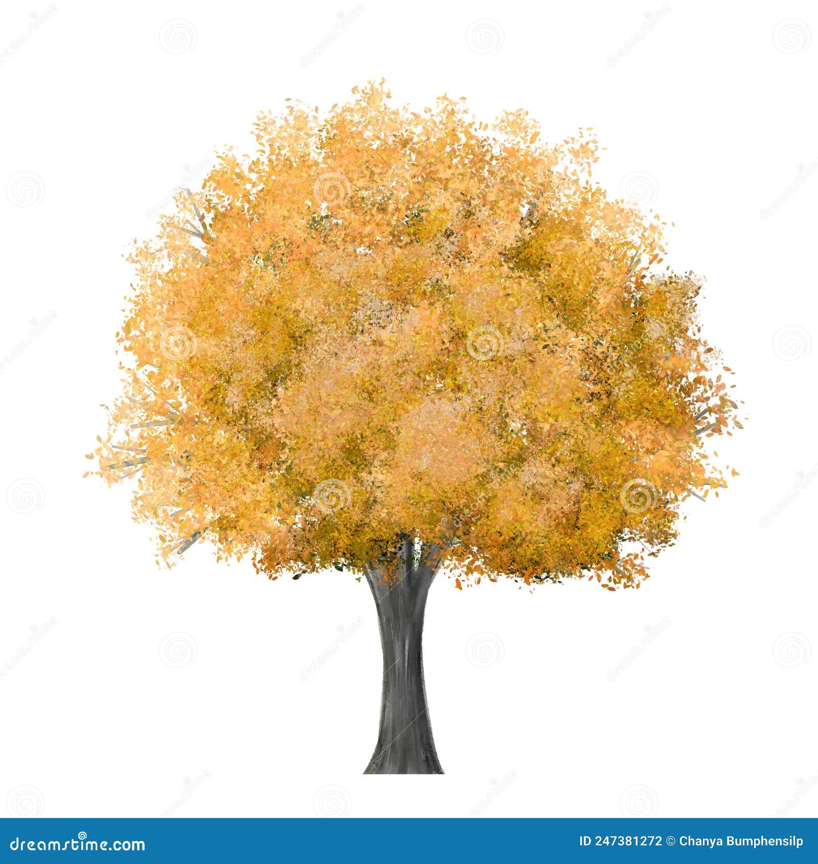 Tree Side View Isolated on White Background for Landscape Stock ...